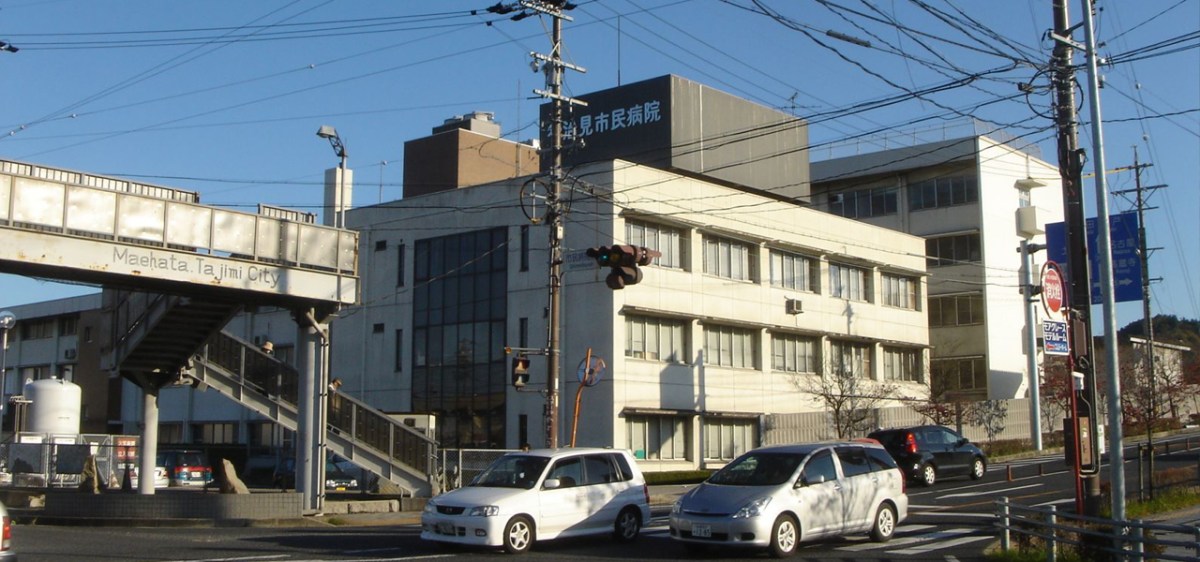 Le modèle Shimin Tougikai | Démocurieux